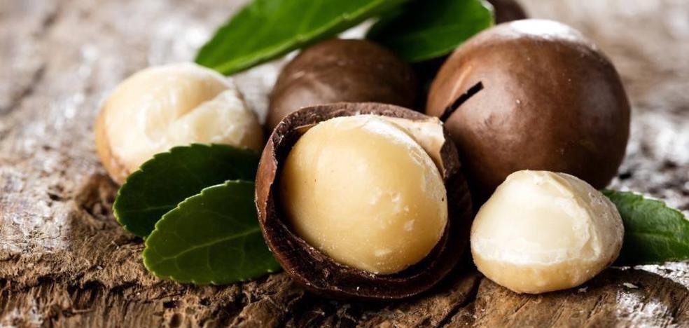 Nuez de macadamia: beneficios y propiedades | El Diario Vasco