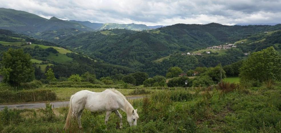Turismo en Orendain y Baliarrain: ¿Qué ver y qué hacer? | El Diario Vasco