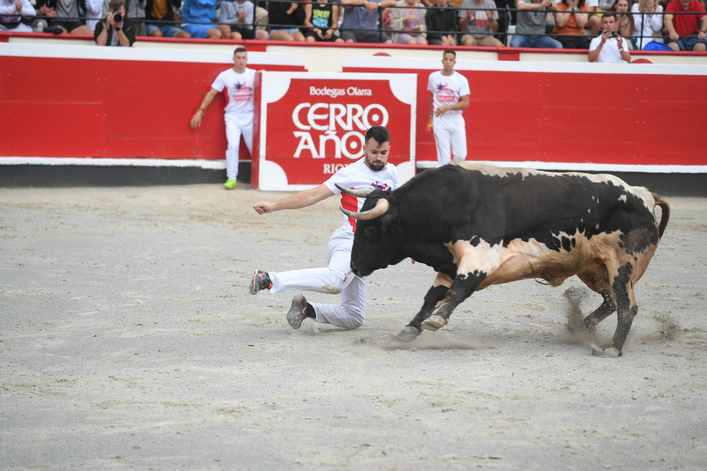 Fotos: Los recortadores y sus piruetas conquistan la Plaza de Toros de ...