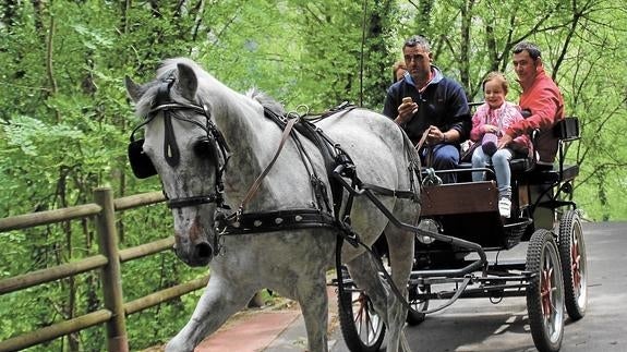 Fiesta del caballo en el valle de Sastarrain | El Diario Vasco